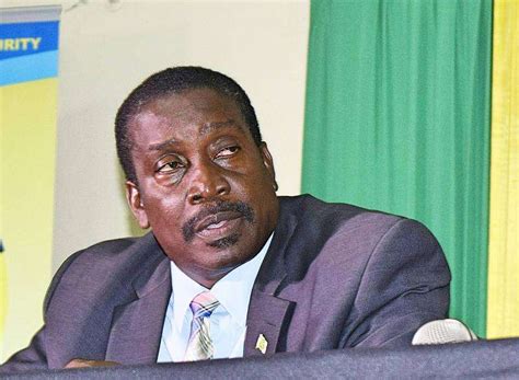 Seven Pixie T Ideas To Stay Within Budget This Christmas Jamaica