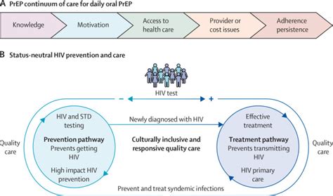 Hiv Model