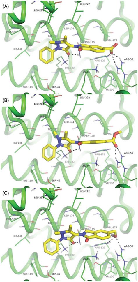 Predicted Binding Mode Of Compound 1 A 2 B And 3 C Within The Download Scientific