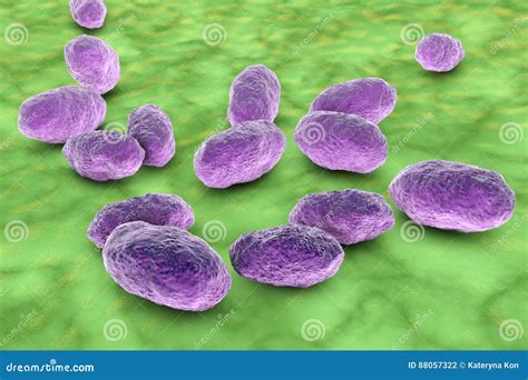 Cellulitis Cartoons Illustrations And Vector Stock Images 511 Pictures