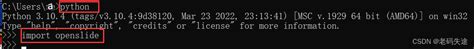 Win10下最简安装openslide For Pythonopenslide支持python版本 Csdn博客