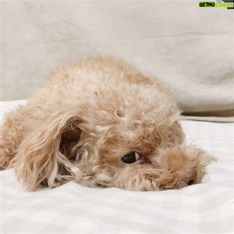 Chung Yoon Hye Gethu Cinema