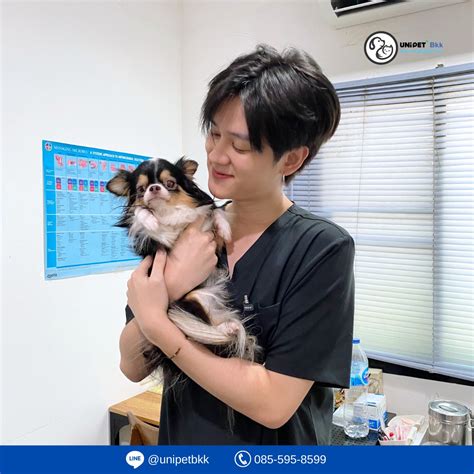 น้องบราวนี่ มาฉีดวัคซีนผิวหนังกับคุณหมอไม้เอกครับผม 💉💙 พบ คุณหมอไม้เอก ⏰ทุกวัน เสาร์ และ