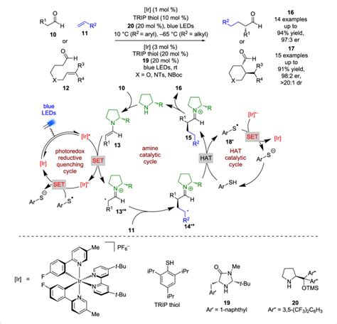 Scheme 2 Aminehatphotoredox Catalysed α Functionalisation Of