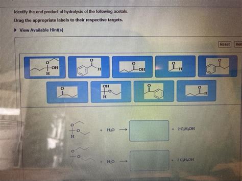 Solved Identify The End Product Of Hydrolysis Of The