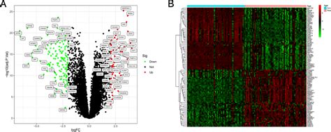 Differential Expression Analysis A Volcano Plot Between GC And Control