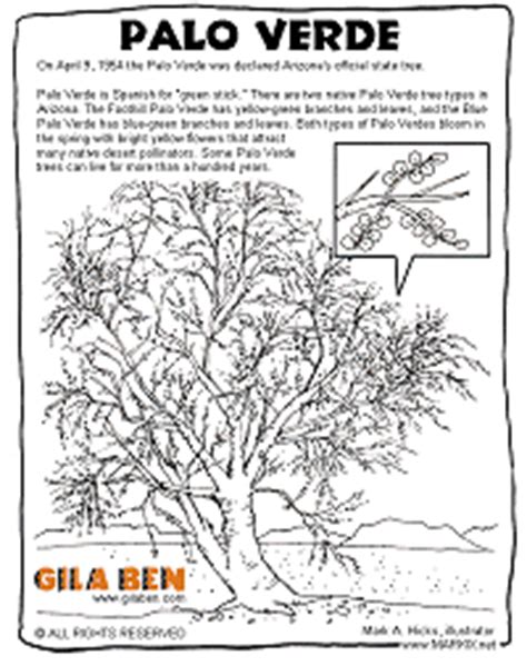 Mesquite Tree Coloring Page Coloring Pages
