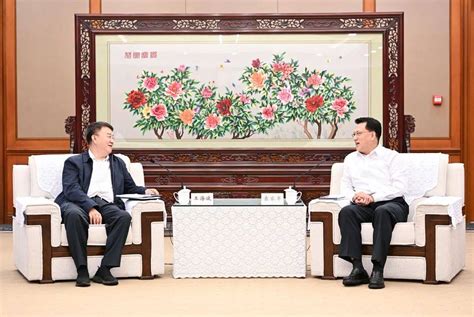 袁家军胡衡华会见中国电子科技集团董事长王海波一行发展重庆现代化