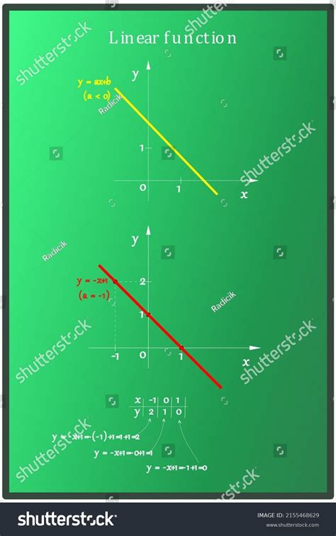 Linear Function Negative Absolute Term General Stock Vector Royalty