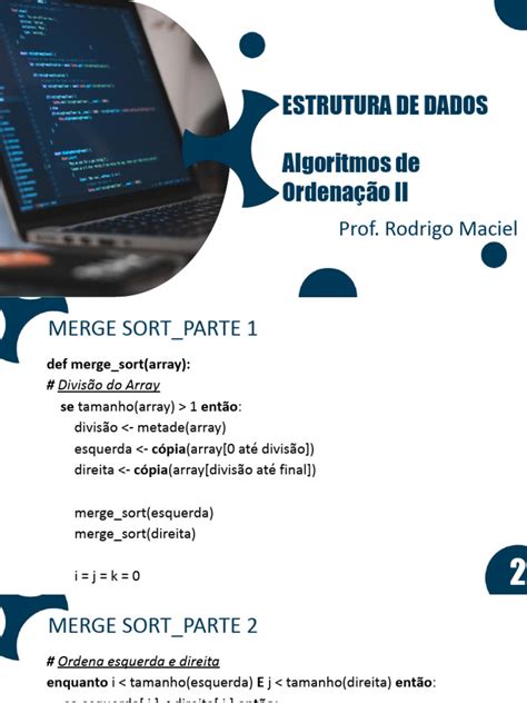 Algoritmos De Ordenação Ii Pdf