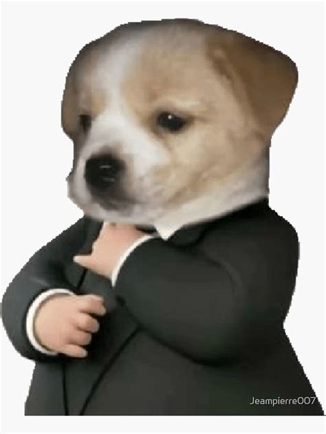 Perro Con Traje Imágenes Humorísticas Imágenes Graciosas Imágenes Hilarantes