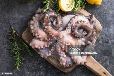 낙지 문어에서 맛있는 해산물 사진과 건강 식품의 창조적 인 개념 갑오징어류에 대한 스톡 사진 및 기타 이미지 갑오징어류 건강한 식생활 그릇 Istock