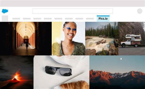 Digital Asset Management DAM Integrated With Salesforce Pics Io