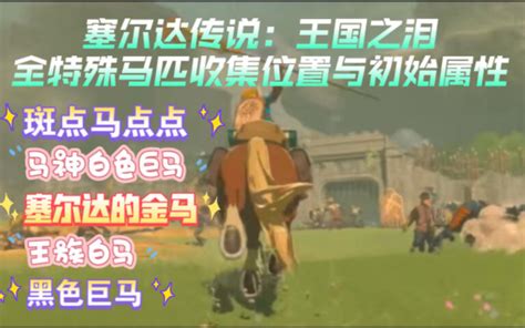 【塞尔达传说：王国之泪】特殊马匹收集位置以及初始属性：斑点马点点、白色巨马 哔哩哔哩