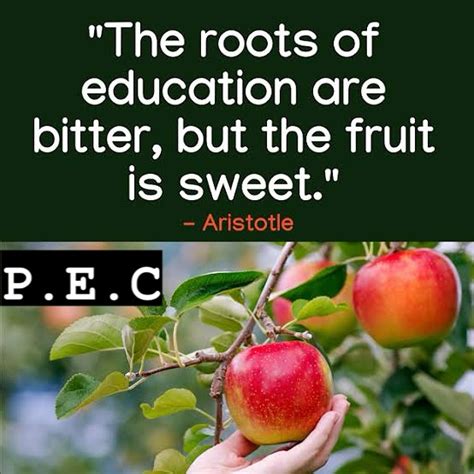 Perfect Education Classes Perfect Education Classes