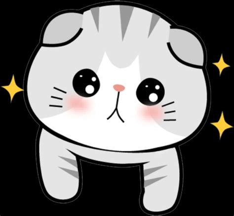 Download Cute Blushing Cartoon Cat