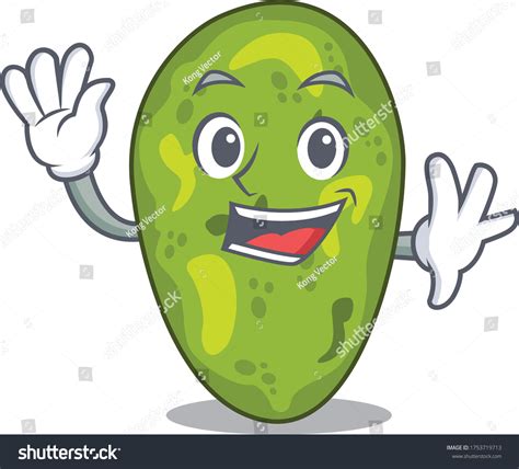 Bacteria Cyanobacteria Over 142 Royalty Free Licensable Stock Vectors