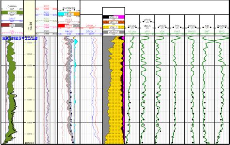 Computed Logs Obtained With The Pegasus™ Model Compared To Core Data