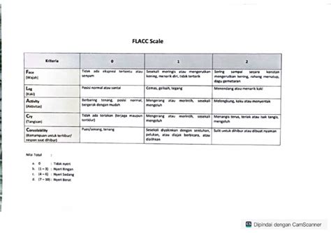 Flacc Scale Lm Fix Pdf