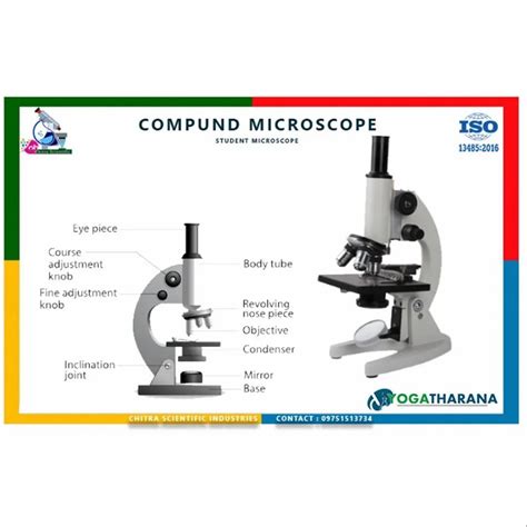 Yogatharana Compound Micro Scope At ₹ 3980 Piece In Chennai Id