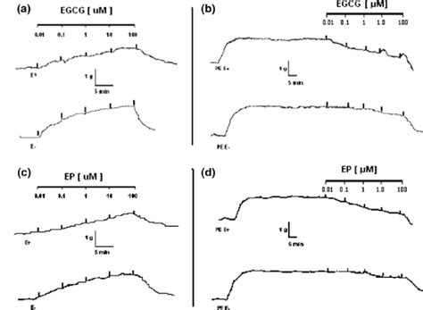 A Tracing Showing The Concentration Dependent Contractile Effect Of