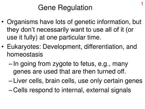 Ppt Gene Regulation Powerpoint Presentation Free Download Id 3030340