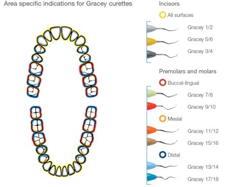 Periodontal Instrument Characteristics Lm Dental