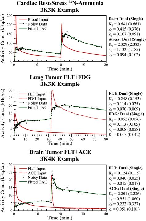Example Dual Tracer Time Activity Curves Showing Separable Parameter Download Scientific