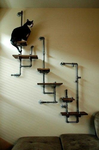 リノベ可物件は猫にとって天国！？自由なキャットウォークのアイデア集 Sosogoo Diy Stand