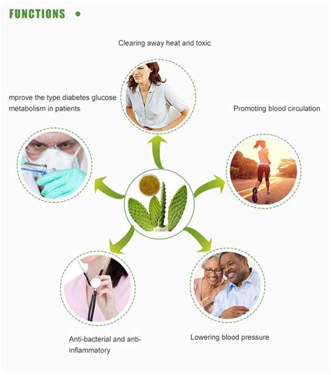 Cactus Extract Manufacturer Undersun