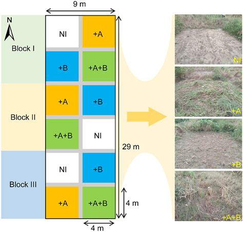 The Arrangement And Photo For The Grassland Experiment Ni No Download Scientific Diagram