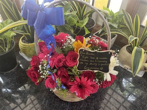 Suneetha Chowdary On Linkedin Ninjalifeupgrade Fromnewbietocofo Teamninjarockstars