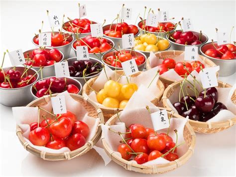 大橋櫻桃園 Japan Fruits 日本水果採摘・水果情報網