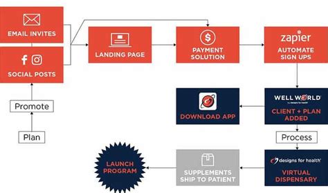 01 Class 1 Patient Journey Flow Well World