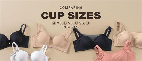 What Is The Difference Between A C Cup And A D Cup Bra At Fred Mounce Blog