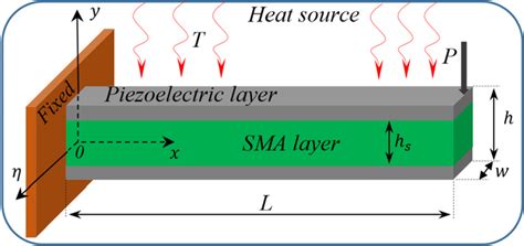 Schematic Demonstration Of A Smapiezoelectric Composite Beam Download Scientific Diagram