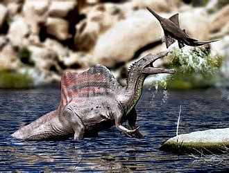 Spinosaurus Wikipedia