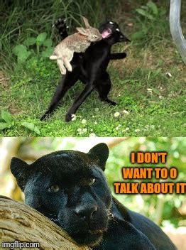 Funny Panther Memes