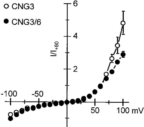 Current Voltage Relations Of CNG3 And CNG3 CNG6 Channels In The Download Scientific Diagram