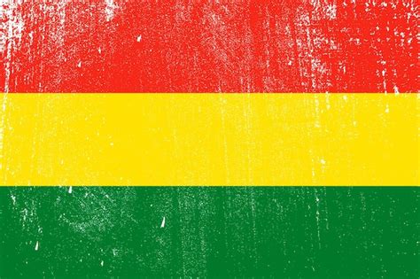 그런 지 스타일 플래그 벡터 일러스트 레이 션 프리미엄 벡터