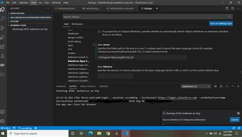 Unable To Deploy Source To Org And Unable To Authorize Org If Have