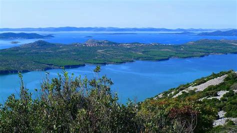 krishna ujjwal krishna twitter