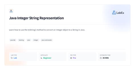 Tostring Method In Java Integer Class Labex