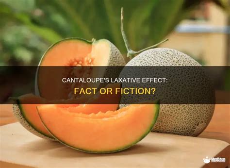 Cantaloupes Laxative Effect Fact Or Fiction Medshun
