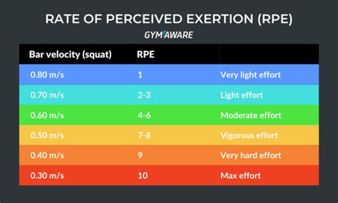 Autoregulation In Strength Training Avoid Overtraining And Undertraining