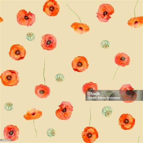 손으로 그린 여름 밝은 빨간색 양귀비 꽃이 있는 수채화 원활한 패턴입니다 컬러 배경에 격리되어 있습니다 초대장 결혼식 사랑 또는 인사말 카드 종이 인쇄 섬유 디자인 개체
