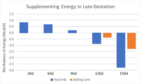 Supplement Energy To Ewes In Late Gestation Osu Small Ruminant Team