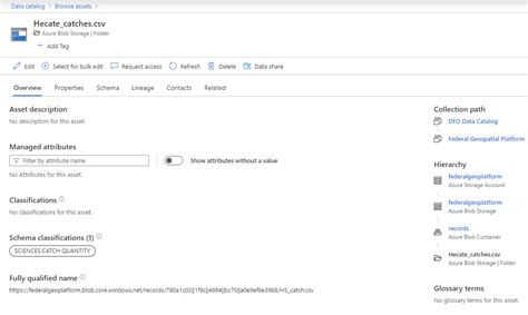 Why Purview Created An Asset Of Type Azure Blob Storage Folder For A Csv File Microsoft Qanda