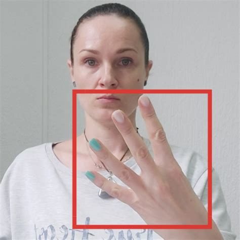 Hand Gesture Recognition Dataset Kaggle
