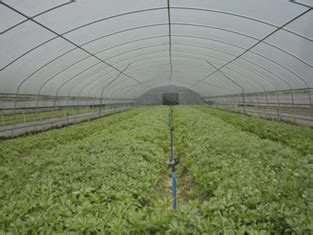 水果蔬菜基地 成都金果郎食品有限公司
